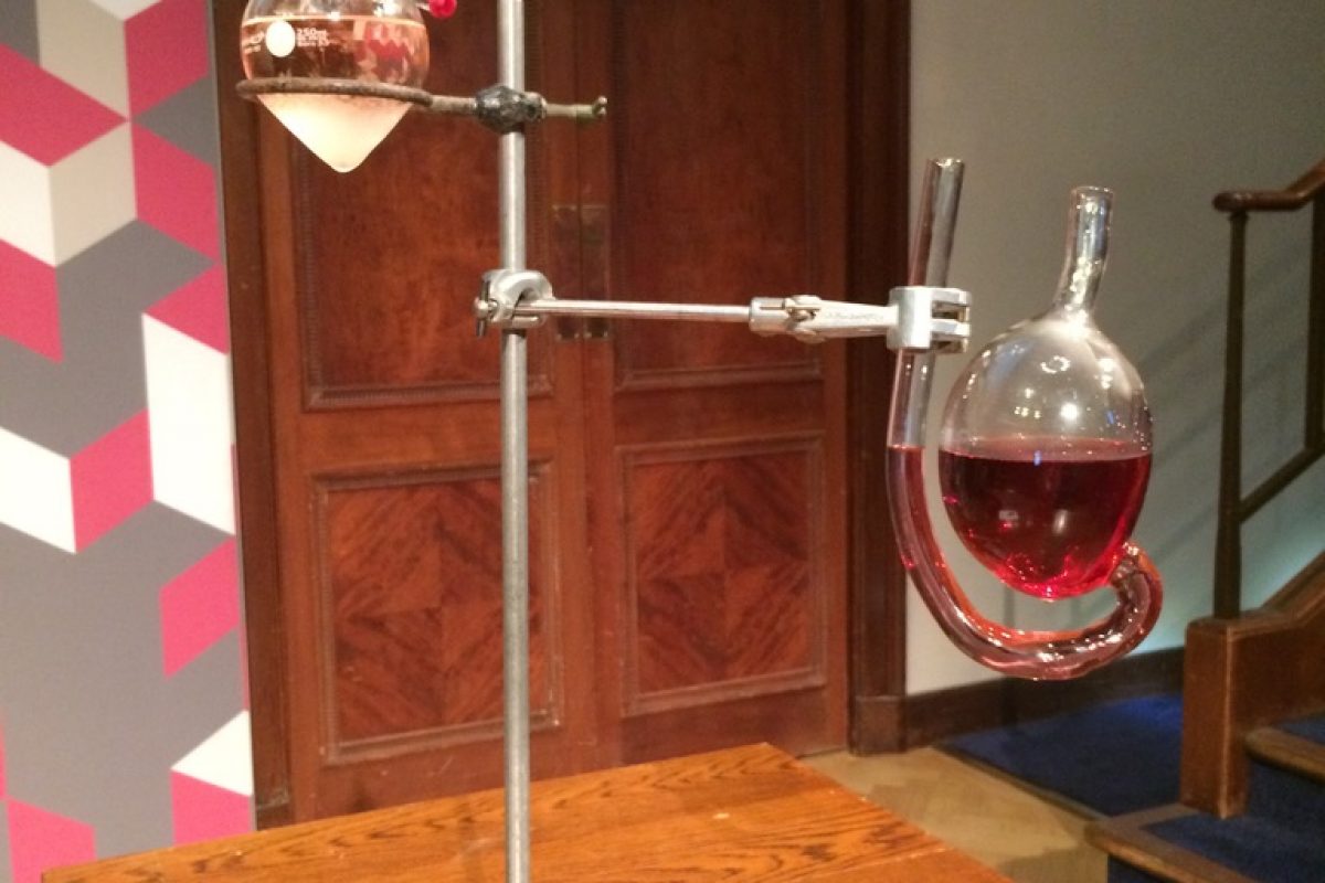 Gold as a Human Barometer • Ellie Doney