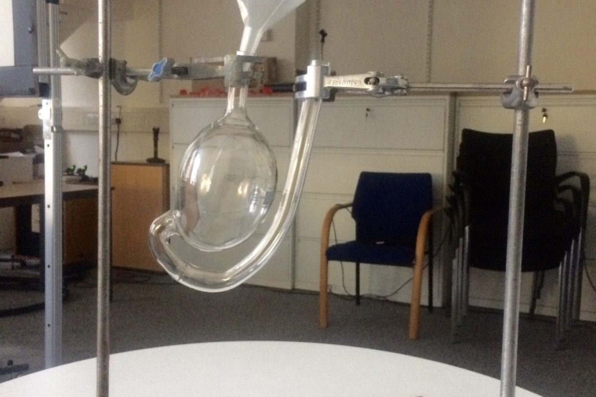 Gold as a Human Barometer • Ellie Doney